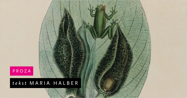 Strużki | Pismo. Magazyn Opinii